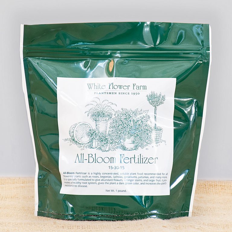 The Best Flower Fertilizer For Your Garden • Xpert Home Tips