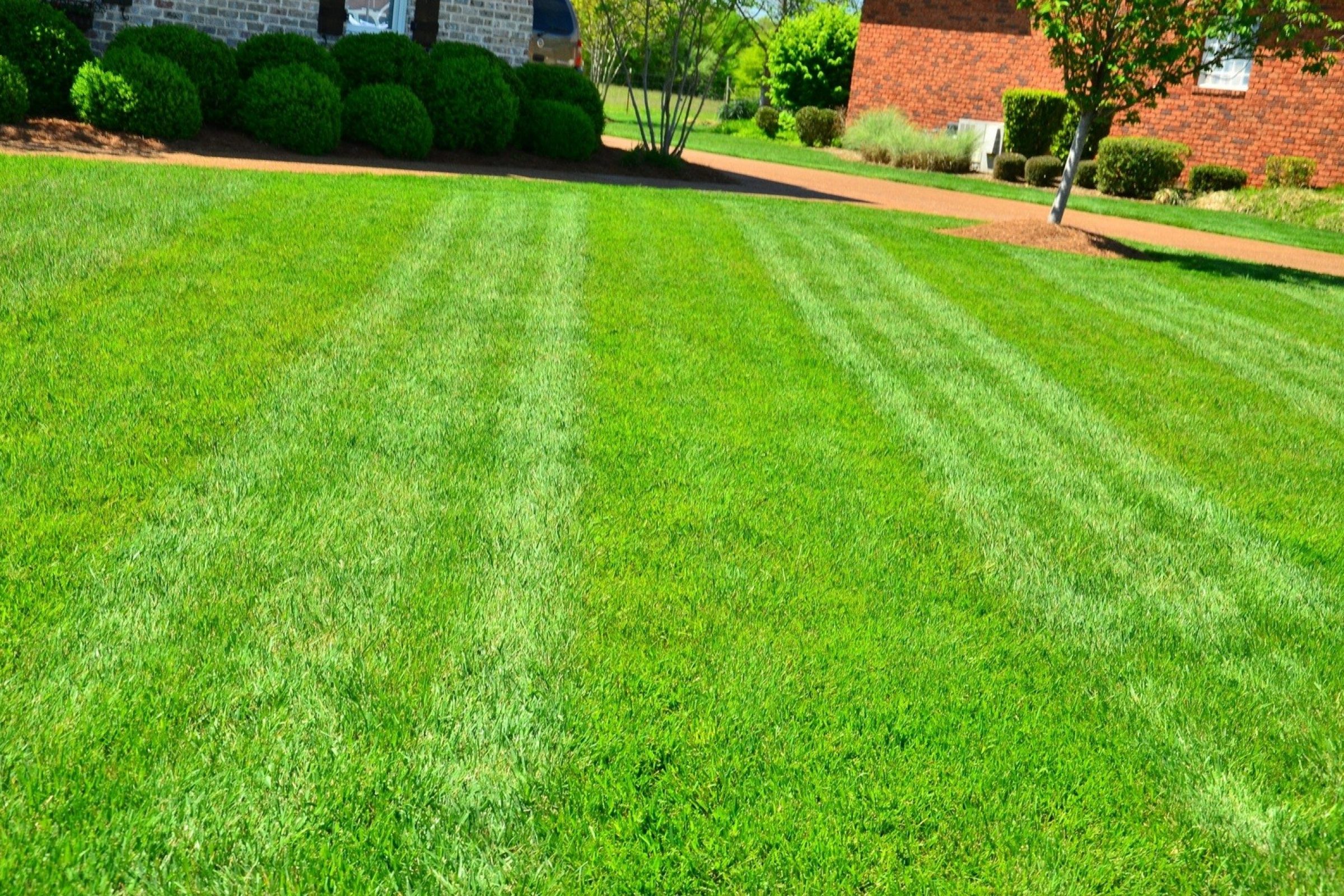 Additions Your Backyard Needs What To Do For Your Garden Home Tips Additions Your Backyard Needs What To Do For Your Garden Home Tips